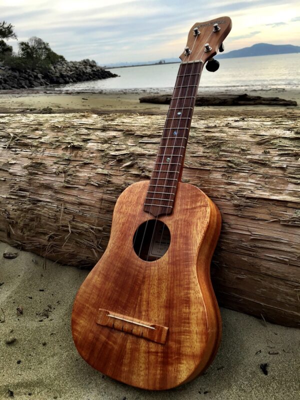 About Us – Droitwich Ukulele Club